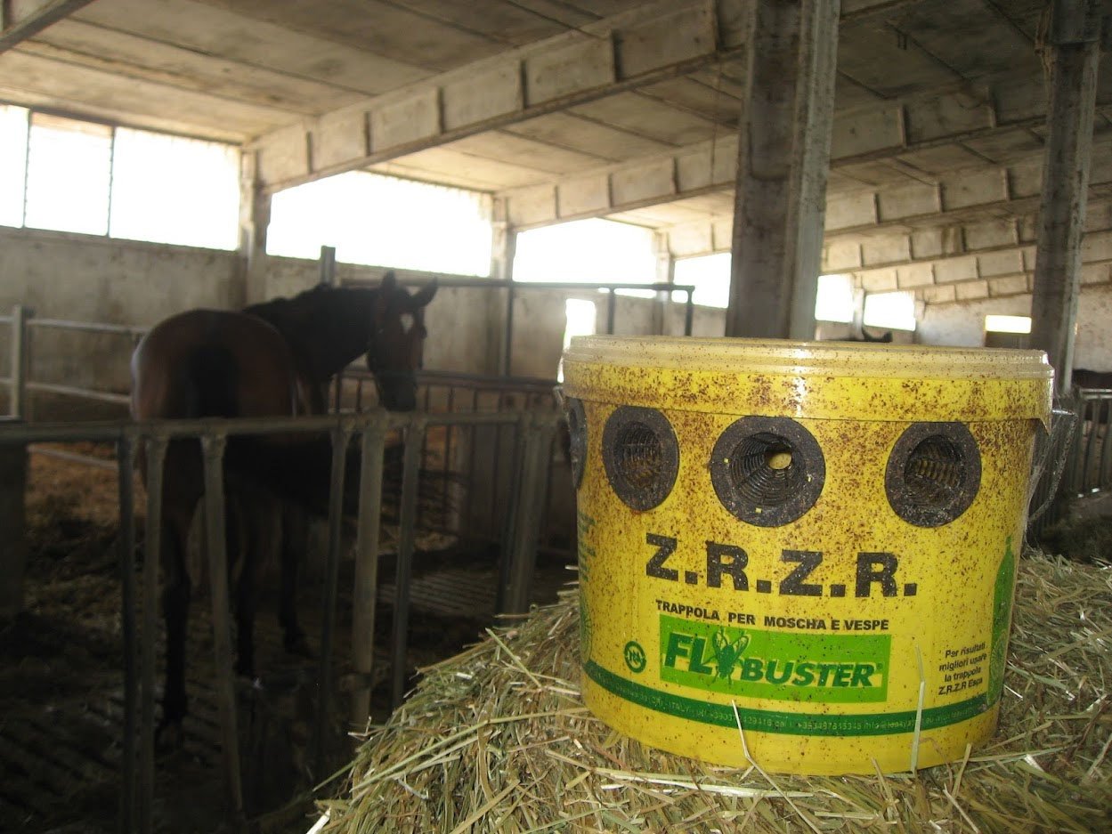 About - FlyBuster Official Website