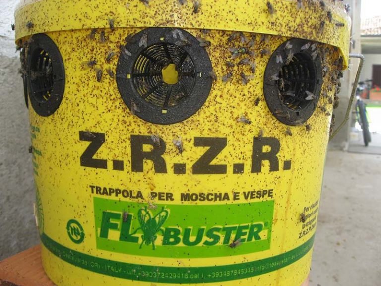 Home - FlyBuster Official Website